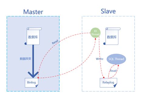 Mysql数据备份恢复及主从同步 Hwff 博客园