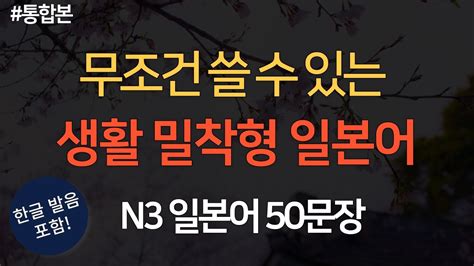 중급자용 원어민들이 꼭 쓰는 실생활 일본어 50문장 중급 통합편 2 일본어독학 일본어회화 기초일본어 필수일본어 생활일본어 Youtube