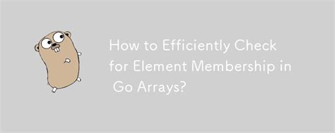 如何有效率地檢查 Go 陣列中的元素成員資格？ Golang Php中文網