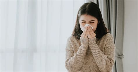 【鼻竇炎】會自己好嗎？症狀及治療方法 6類人易患上！ Avo 保險