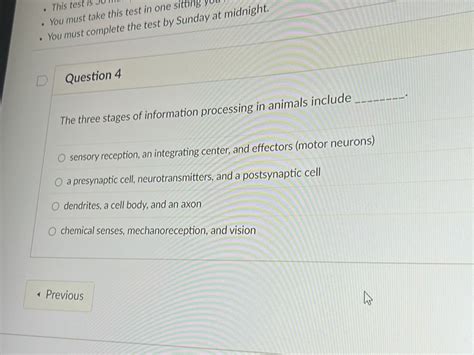 The Three Stages Of Information Processing StudyX