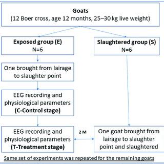 Experimental Design Of The Experiment Download Scientific Diagram