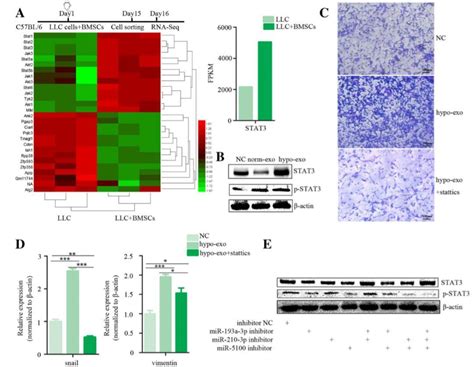 国自热点——这篇emt二元变量论证竟有27分！ 知乎