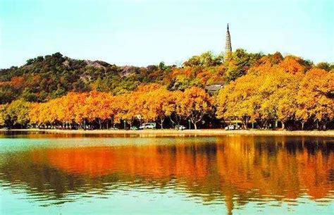 Postgresql主从复制 物理复制 知乎