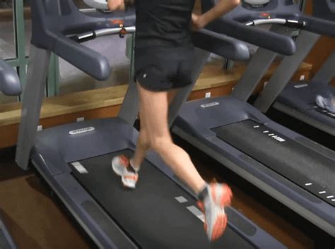 Elliptical Trainer Vs Treadmill Which One Is Better For Cardio Health And Losing Weight