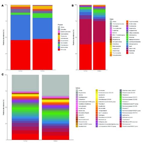 Bar Plots Of Intestinal Microbiota Composition A Phylum Level B Download Scientific