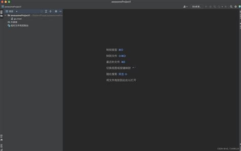 Go语言集成开发环境（ide）：goland 2023中文go 的集成开发环境 Csdn博客