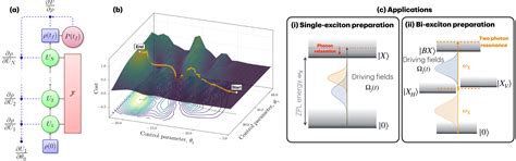 論文レビュー Efficient Optimisation Of Multi Parameter Quantum Control
