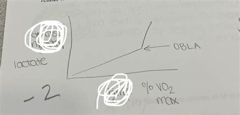 Ex Phys Final Flashcards Quizlet