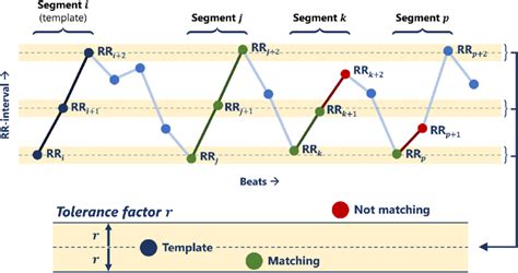 Schematic Visualization Of Matching Used In Sample Entropy Segment I Download Scientific