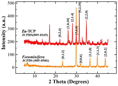 xrd peak patterns matched foraminifera calcareous aragonite material