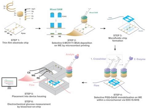 Microfluidic Electrochemical Glucose Biosensor With In Situ Enzyme