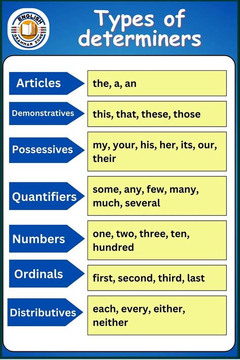 Determiners Definition Types And Examples Determiners Definition Types And Examples