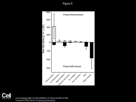 Sleeping Functional Group Drives Coral Reef Recovery Ppt Download