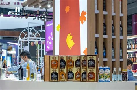 进博会DAY3丨MapleVille展台剪影 枫华源