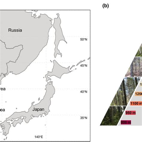 Schematic View Of The Sampling Locations Along An Altitudinal Gradient