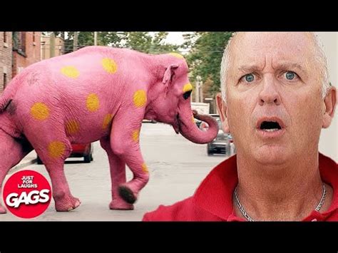 Top Fart Pranks Just For Laughs Gags Just For Laughs