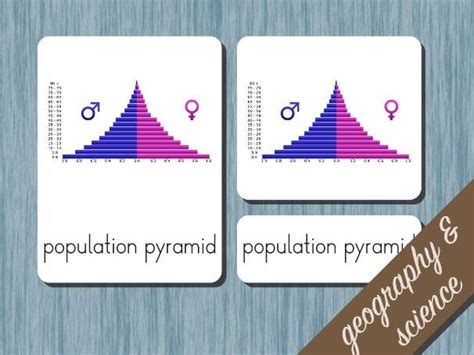 Intro To Population Studies Teaching Resources