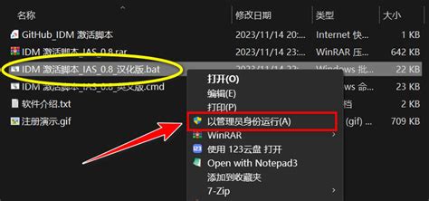 IDM 激活脚本 IAS 汉化版 哔哩哔哩