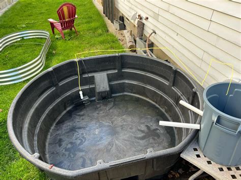 Adding Plants To Pond Filtration System R Ponds