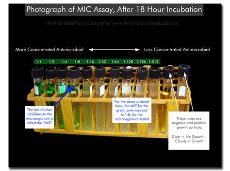 Minimum Inhibitory Concentration Test Mic Microchem Laboratory
