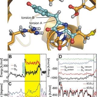 A Chromophore MYG In The Trans Conformation And Adjacent Amino Acid Download Scientific