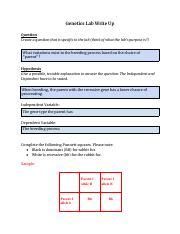 Understanding Genetics Breeding Process Variations And Course Hero