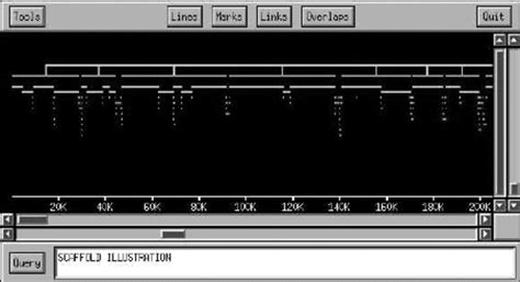 An Assembly Viewer Download Scientific Diagram