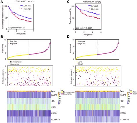 Validation Of The Tme Related Prognostic Signature In The Validation Download Scientific