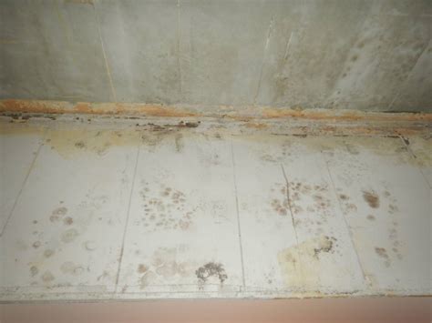 【東京都港区】漏水事故後放置部屋カビ臭のする部屋解体後防カビ工事 ブログ 埼玉の防カビ工事なら「有限会社プレモ」