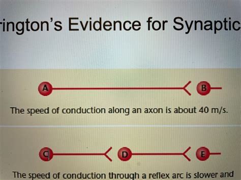 Chapter 2 Synapses Flashcards Quizlet