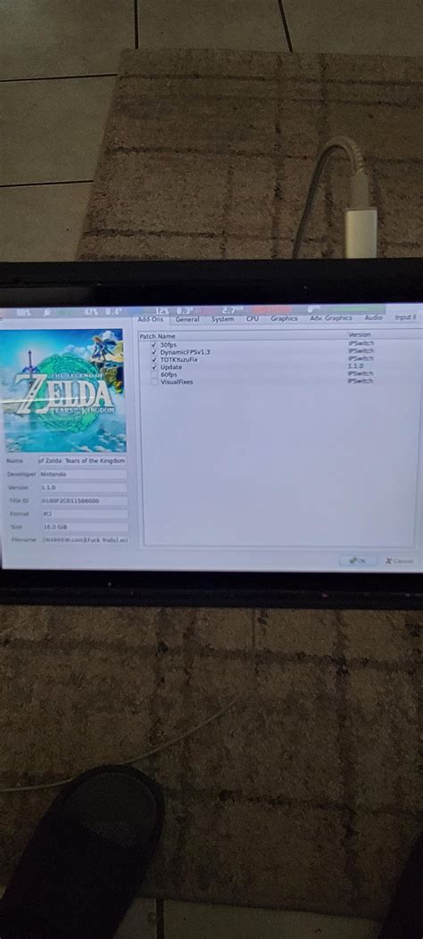 Memory Leak Fix For Totk Ryuzu