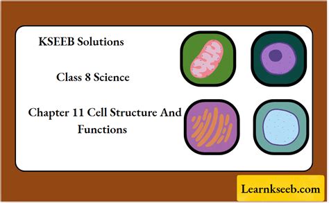 KSEEB Solutions For Class 8 Science Chapter 11 Cell Structure And