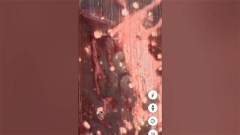 صخور ملونة تصدر عنها صور نادرة أخذت عبر غوغل في إيران صورة مغني يشبه