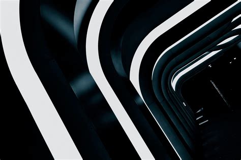 Morphology Homologous And Analogous Structures Morphology Homologous And Analogous Structures