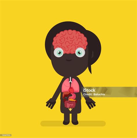 Anatomie Du Corps Humain Vecteurs Libres De Droits Et Plus Dimages Vectorielles De Adulte