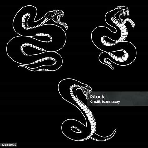 인그레이빙 스타일로 유독 한 뱀의 일러스트 세트 라벨 사인 포스터 티셔츠용 디자인 요소 벡터 일러스트레이션 뱀에 대한 스톡 벡터 아트 및 기타 이미지 Istock