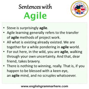 Sentences With Agile Agile In A Sentence In English Sentences For Agile English Grammar Here