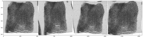 Fingerprint Classification And Matching Using Deep Learning Data