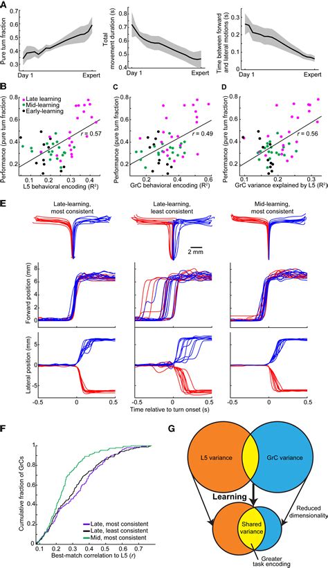 Shared Cortex Cerebellum Dynamics In The Execution And Learning Of A Motor Task Cell