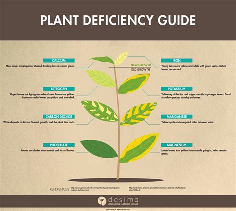 Plant Deficiency Diagnosis