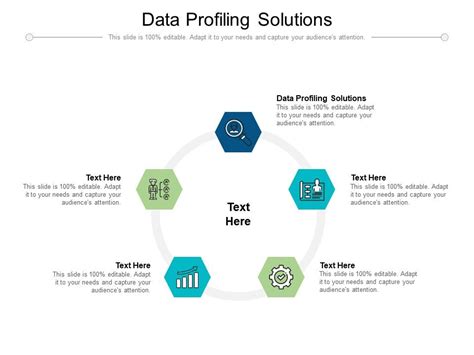 Data Profiling Solutions Ppt Powerpoint Presentation Inspiration Graphic Tips Cpb Pdf