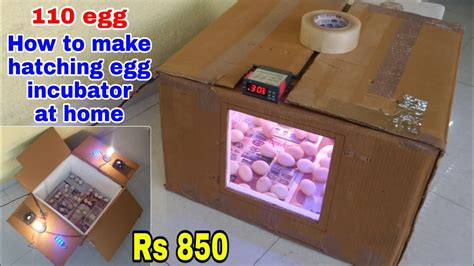 Diy Incubator For Eggs Fertchallenge