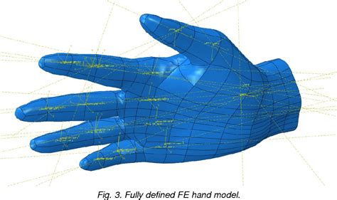 Figure 3 From Development Of A Finite Element Digital Human Hand Model