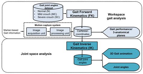 Crouch Gait Analysis And Visualization Based On Gait Forward And