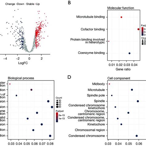 The Go Function Enrichment Of Turquoise Module Genes And The Screening Download Scientific