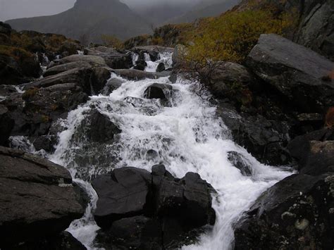 Full Force Nature Free Photo Download Freeimages