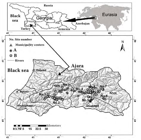 Distribution Of Vegetation Sampling Plots In The Research Area The Download Scientific Diagram