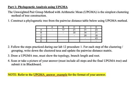 Solved Part 1 Phylogenetic Analysis Using Upgma The