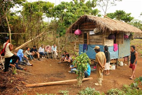 An Interview With ESSC On Reconciling With Creation Ecology And Jesuits In Communication